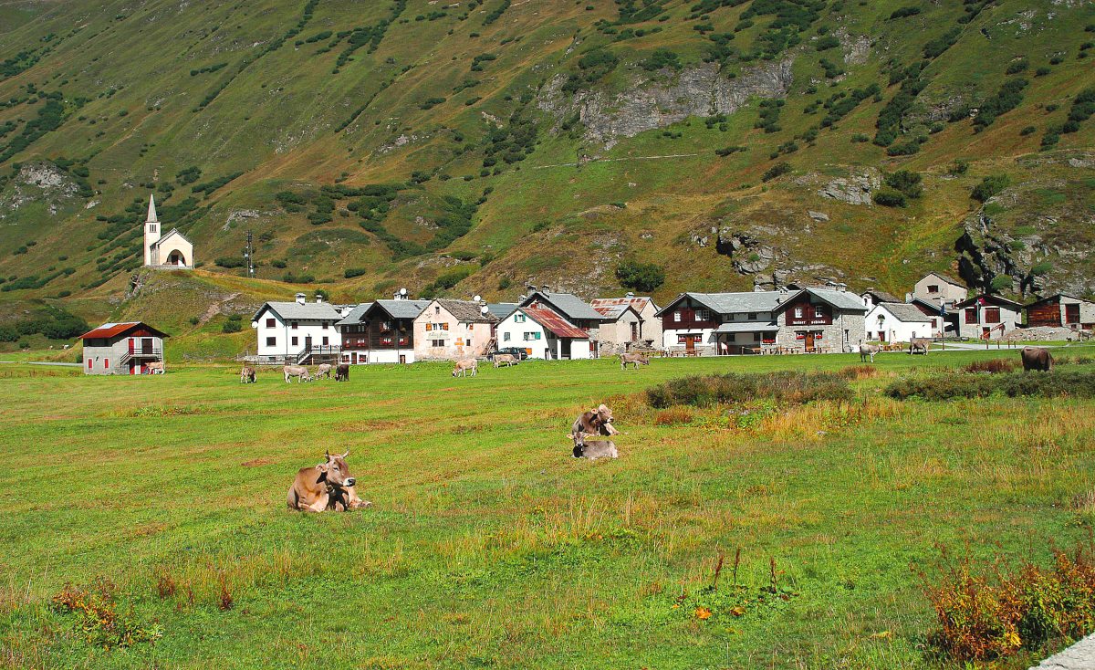 campinglagomaggiore - FORMAZZA VALLEY