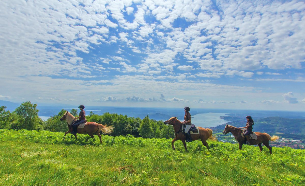 campinglagomaggiore - MOUNT MOTTARONE